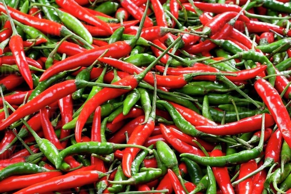 Chilli consumption slows lung cancer progression: Study