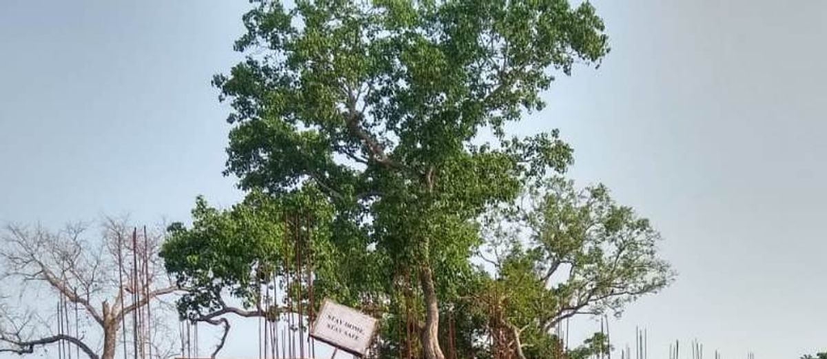 Youth 'quarantined' on tree after being refused entry into village