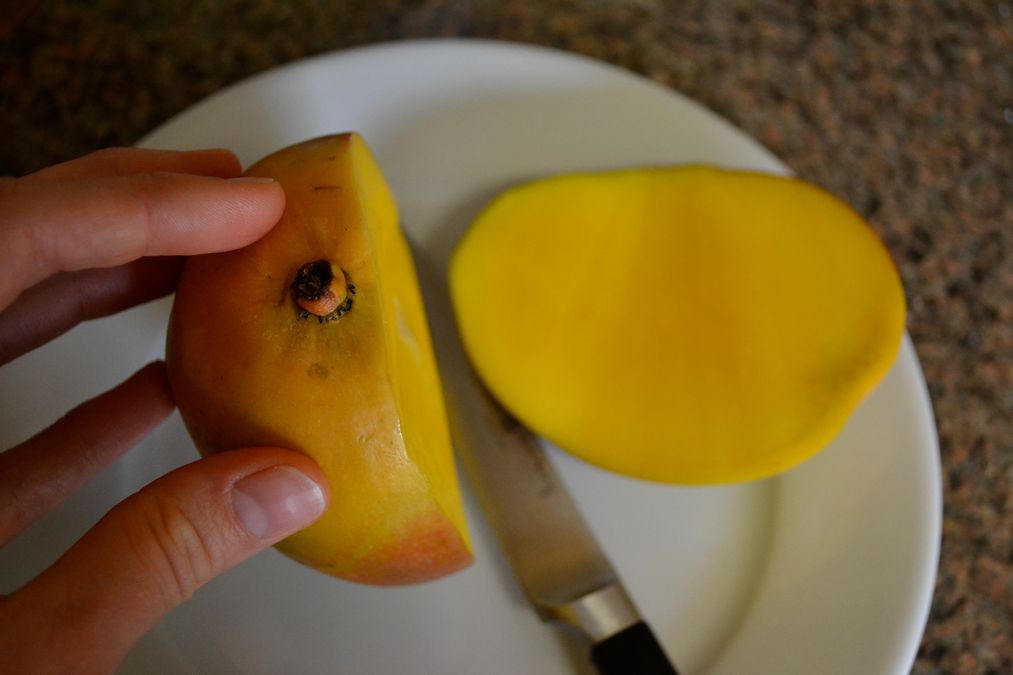 Man beats wife to death for mangoes in Odisha