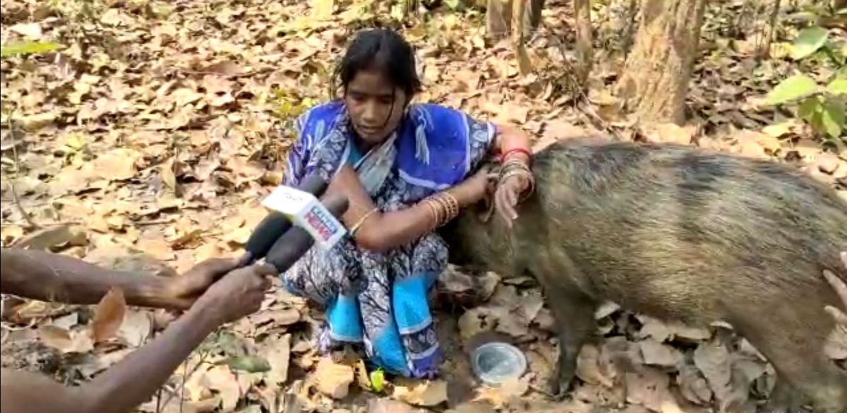 ‘Dhud’ reunites with foster mother in Odisha