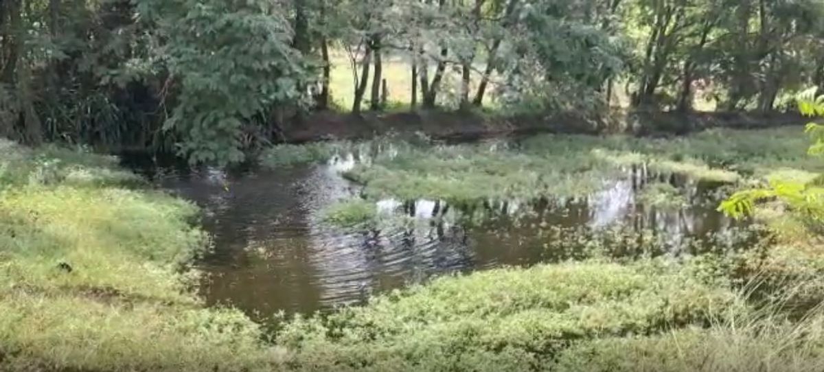 IOCL's crude oil pipeline bursts in Paradip