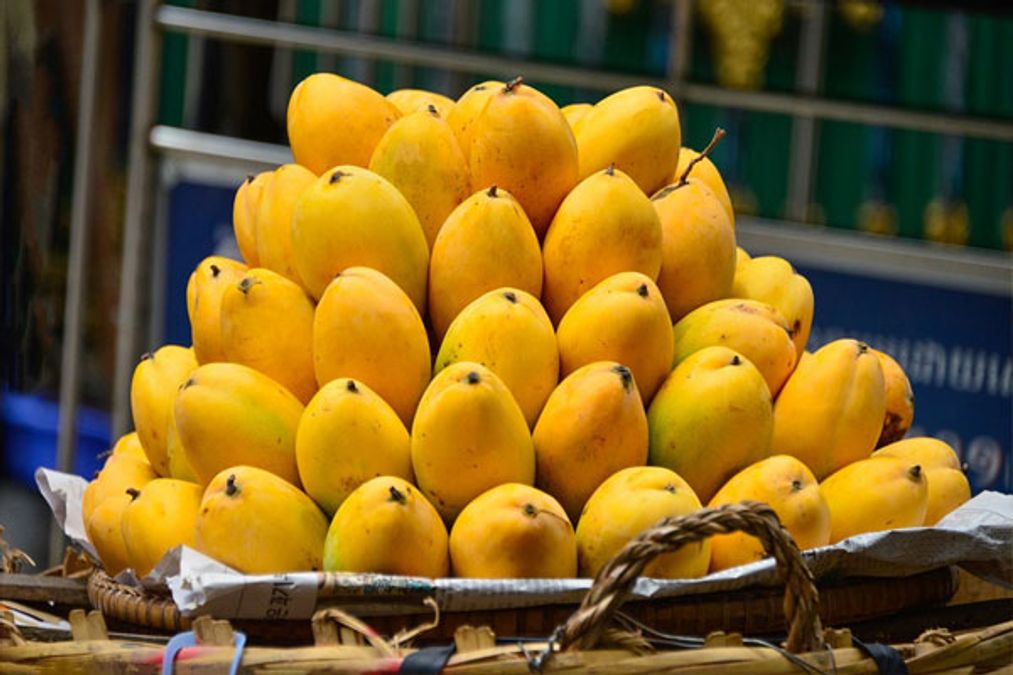 Mango processing unit to come up at Odisha’s Kashipur