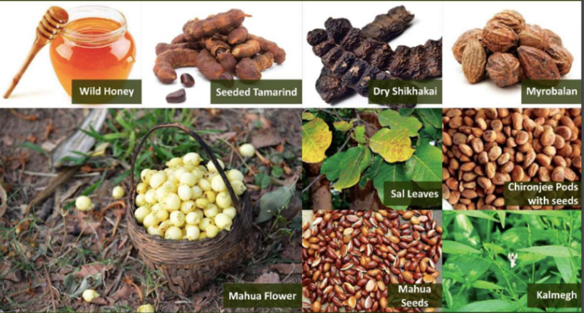 Odisha to introduce LABHA for MSP on minor forest produce