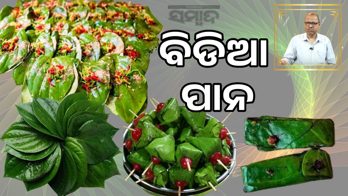 ପାନ ଖାଇ ସାଙ୍ଗେ ସାଙ୍ଗେ ପାଣି ପିଇବା ଉଚିତ କି ? ବିଡିଆ ପାନ ବାବଦରେ କିଛି ଅଜଣା ...