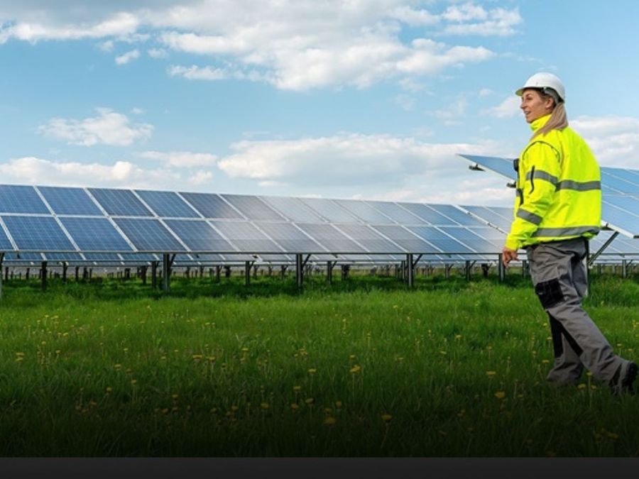 Assam Pulls Plug on Solar Project; Waaree RTL Contract Impacted