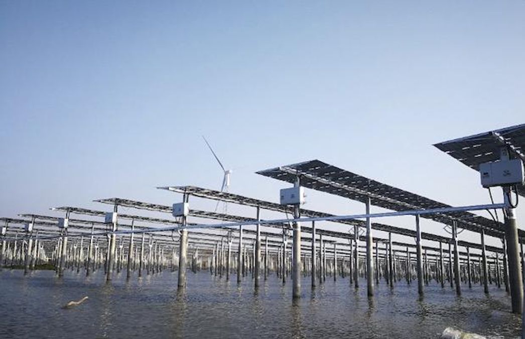 100MW Solar-Fishery Plant Takes the Lead with Huawei 1500V Smart PV ...