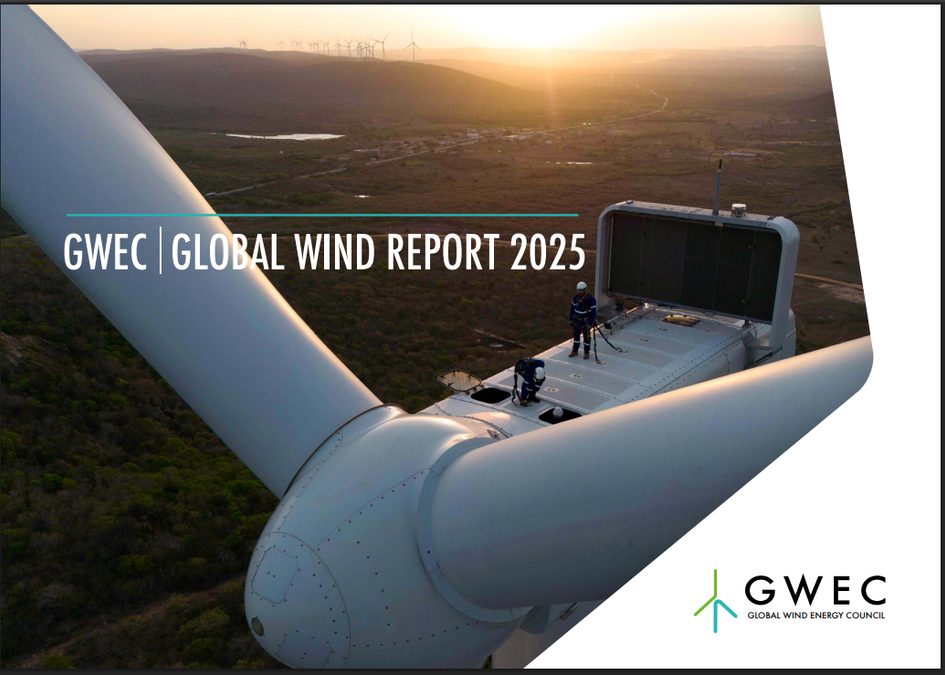 Global Wind Power Hits 117 GW In 2024, Driven By China & India: GWEC