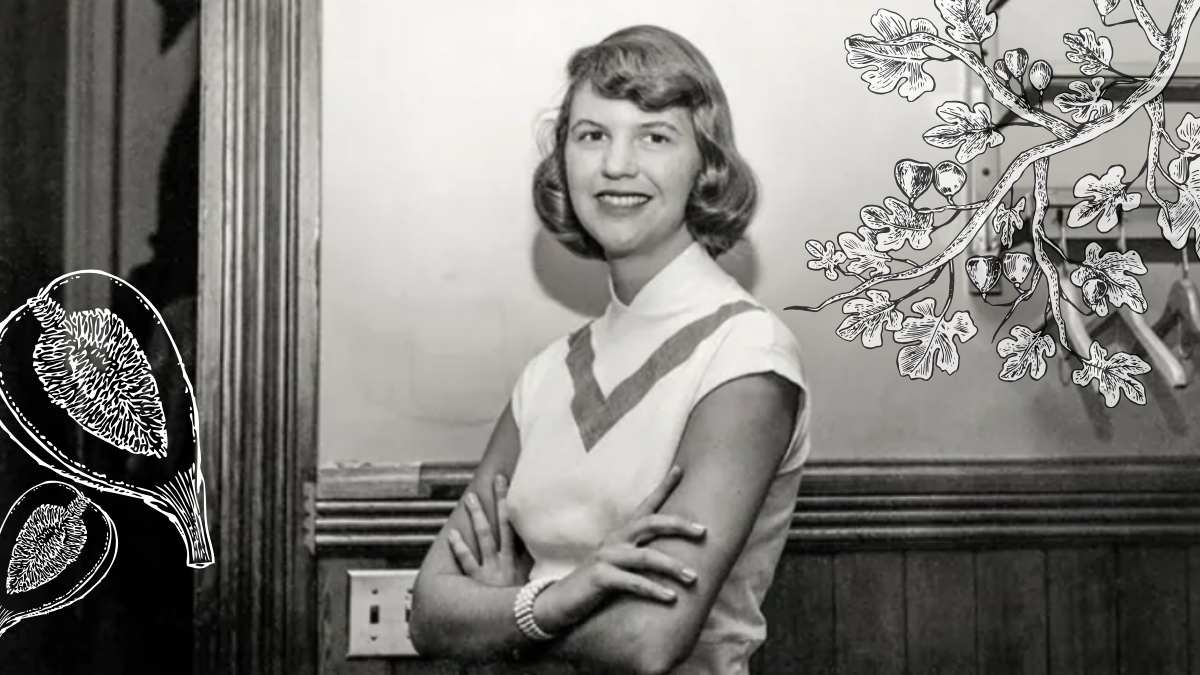 What Is Sylvia Plath's 'Fig Tree Theory' And Why's Everyone Suddenly ...