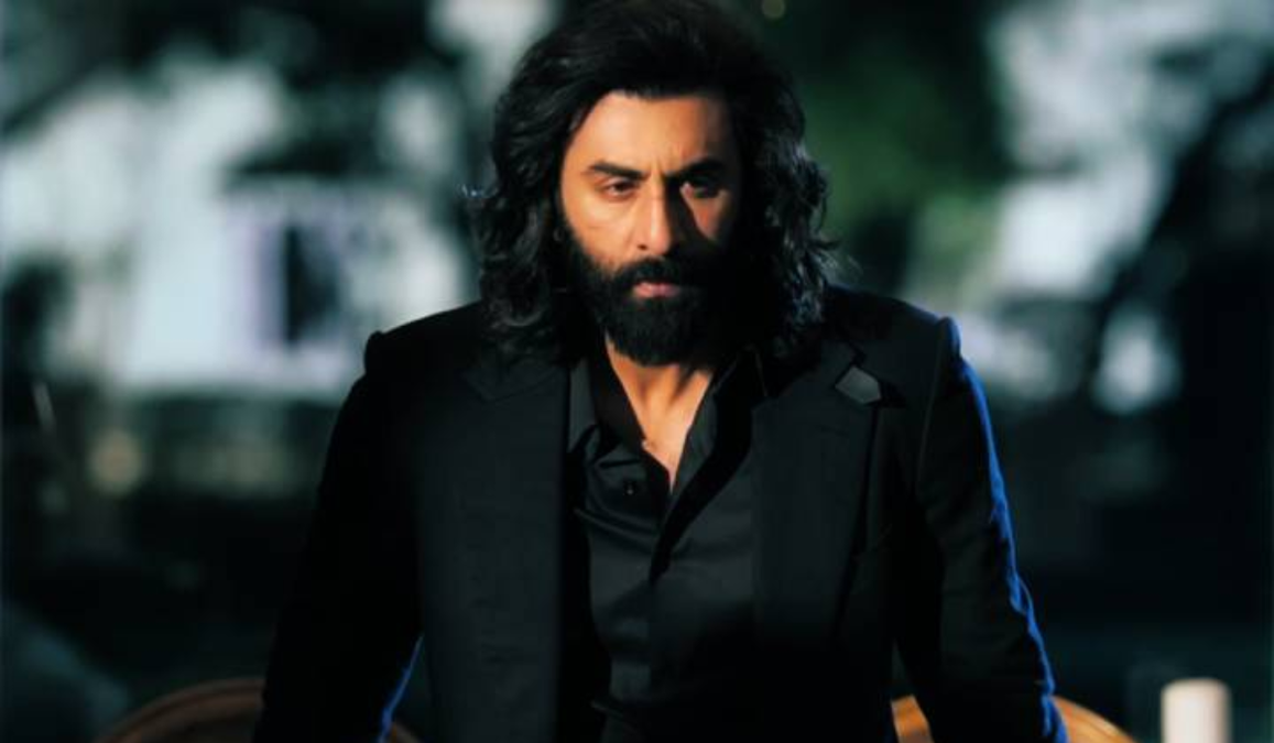 Is Film Critic Sucharita Tyagi Being Targetted By Animal's X Account?