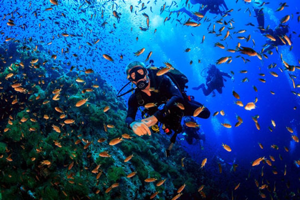 10 Reasons Why Diving Is Therapy And Thrill
