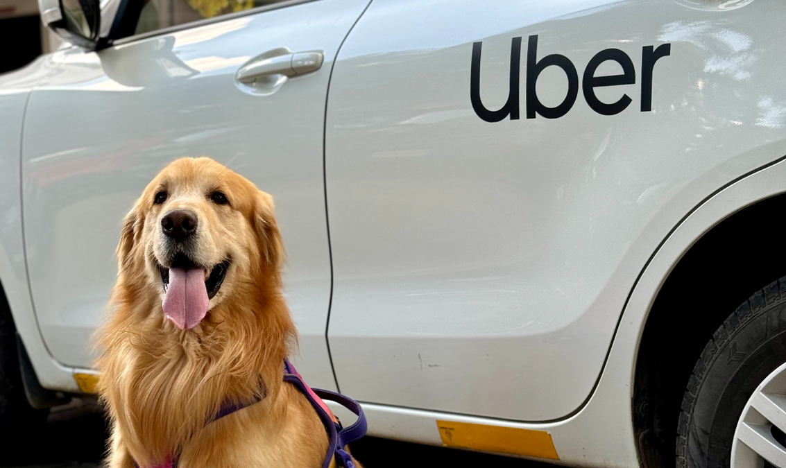 Uber Launches Uber Pet Service in Bangalore