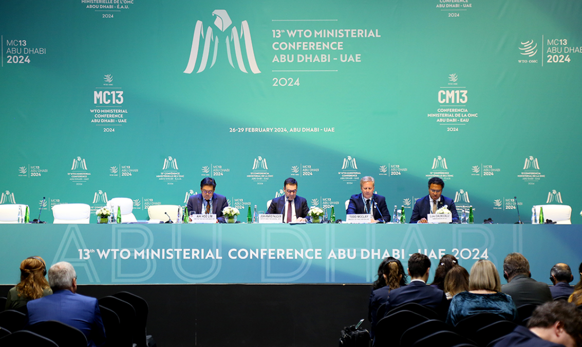 WTO Members Unveil Plan to Fossil Fuel Subsidy Reform