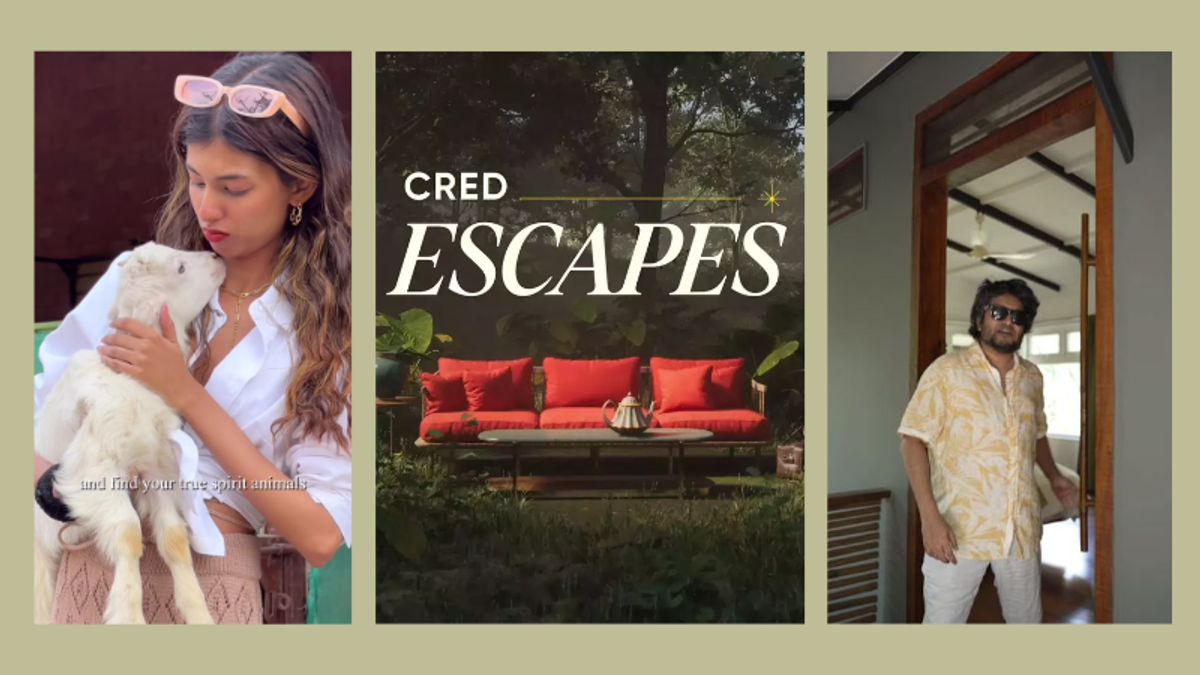 CRED launches a new influencer marketing campaign to create buzz around ...