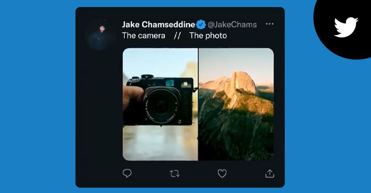 Twitter tests an immersive timeline with edge-to-edge Tweets