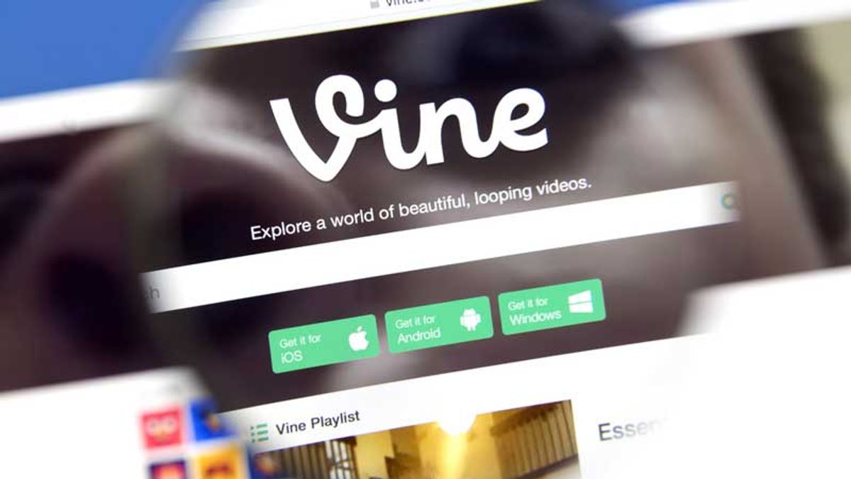 Meet Vine Camera...