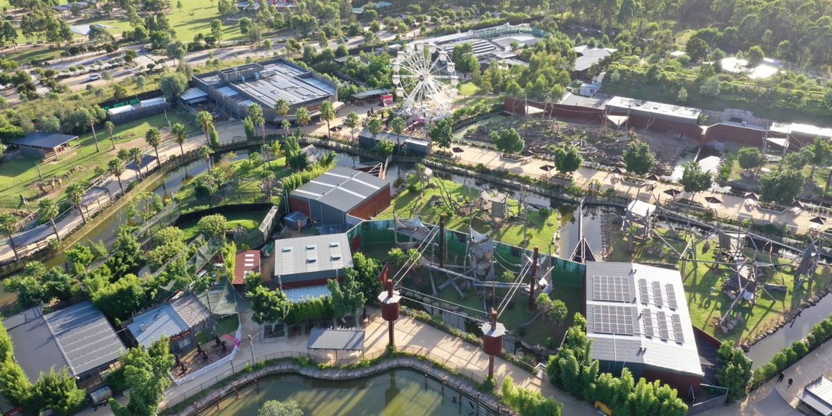 Sydney Zoo partners with EnergyAustralia