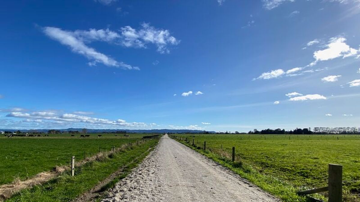 Genesis acquires 114 MW solar project from Helios Energy