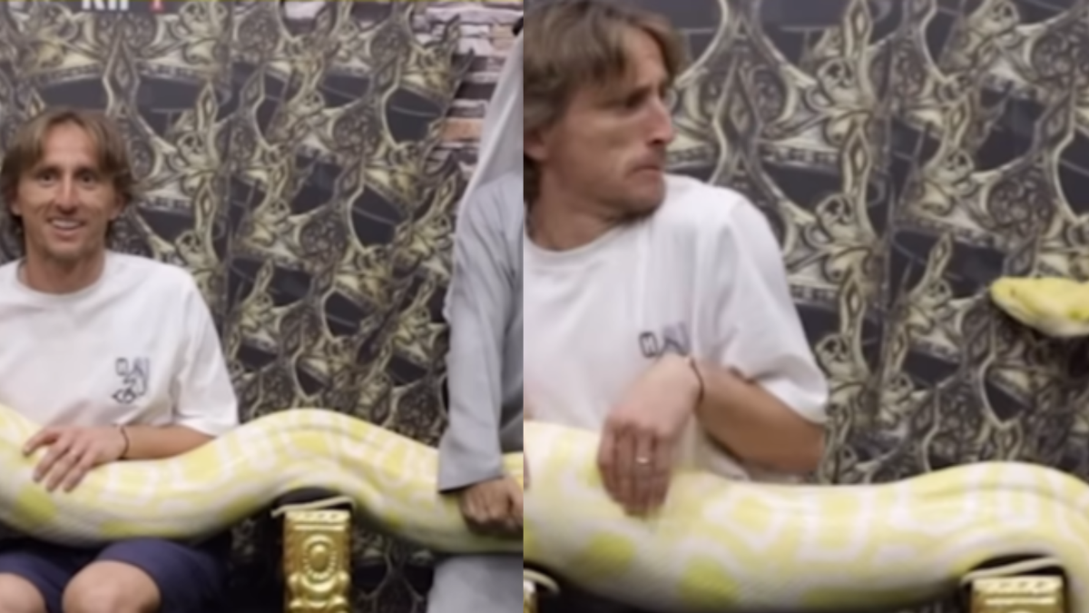 Real Madrid star Luka Modric's hilarious reaction to a giant python goes viral