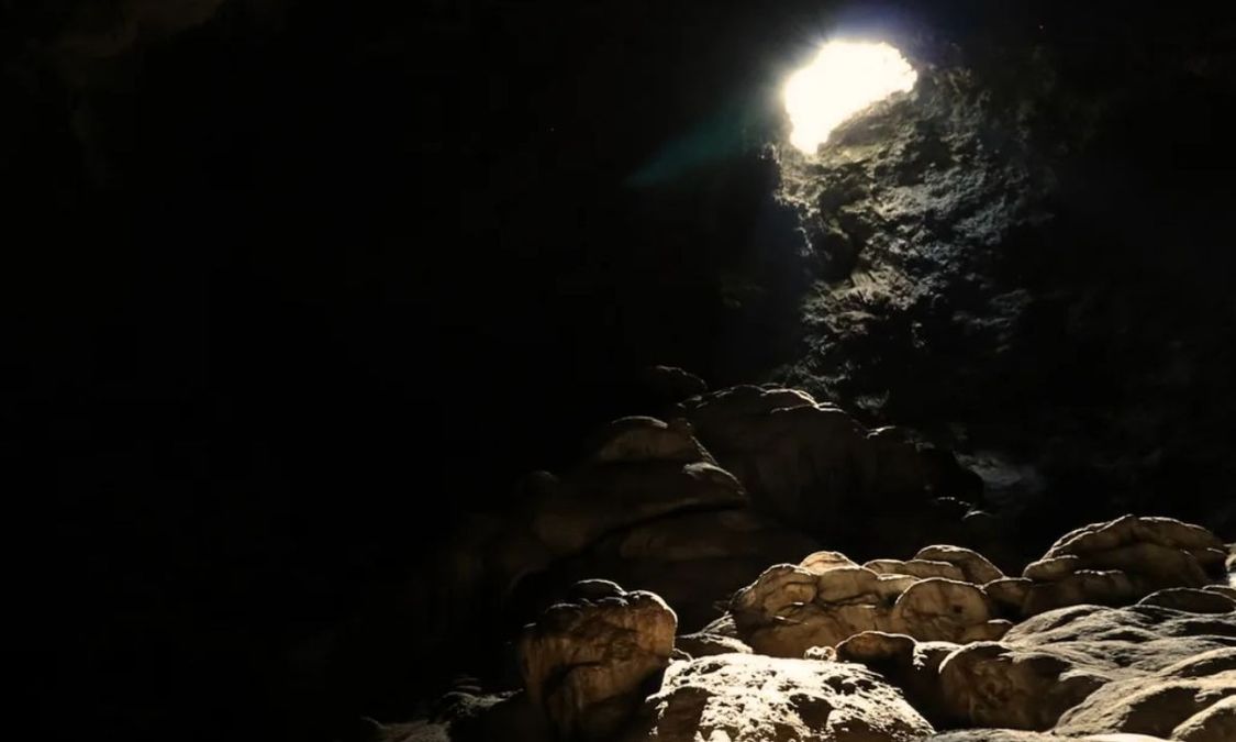 Blind, dragon-like creatures discovered in South Korea's dark caves