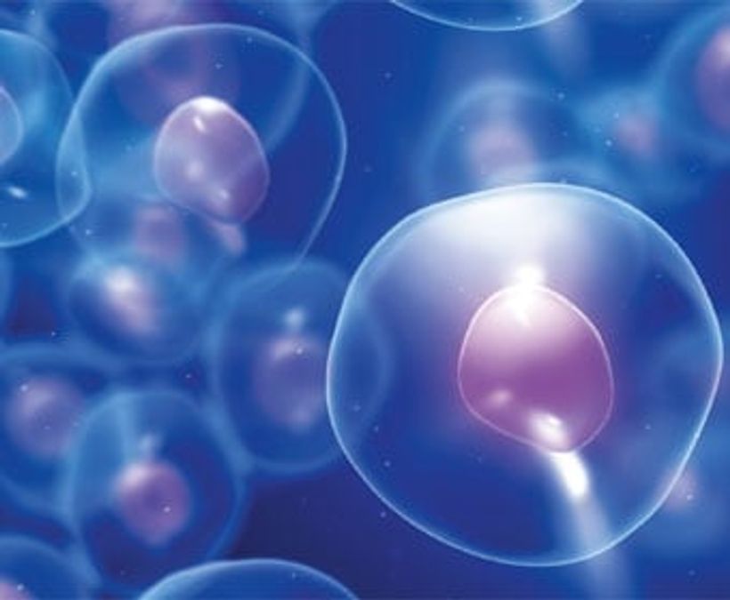 Huawei announces small cell achievements in 4.5G/5G technologies