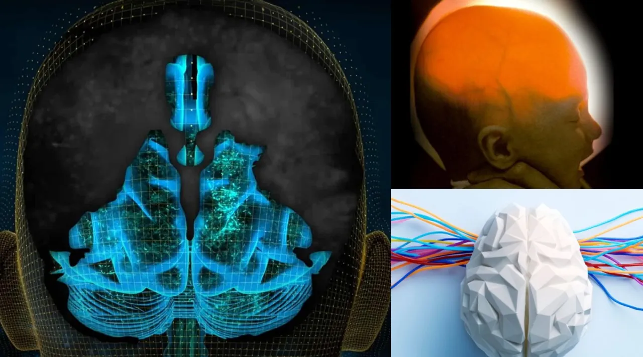 மருத்துவர்கள் கைவிட்ட குழந்தை... மூளையின்றி 20 ஆண்டுகள் வாழ்ந்து வரும் ...