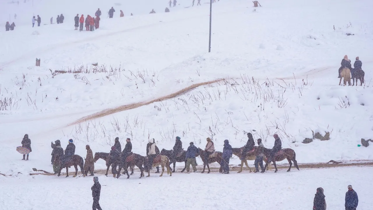 Kashmir: Fresh snowfall in higher reaches; excitement among visitors ...