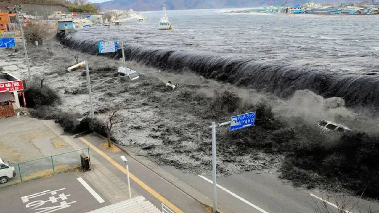 Japan tsunami brought hundreds of aquatic species to US coast