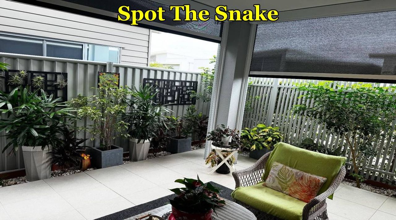 Find the hidden snake in the yard; it's an optical illusion | News ...
