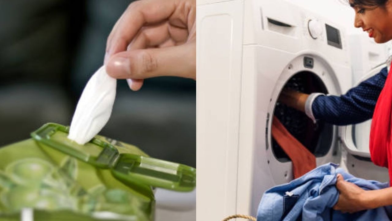 Use wet wipes to remove pet hair and lint from clothes in the washing ...